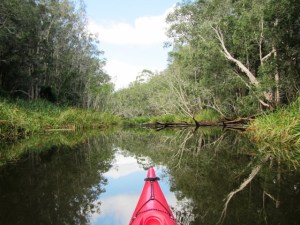 Riot Brittany 16.5 Sea Kayak Review | kayakcameraman
